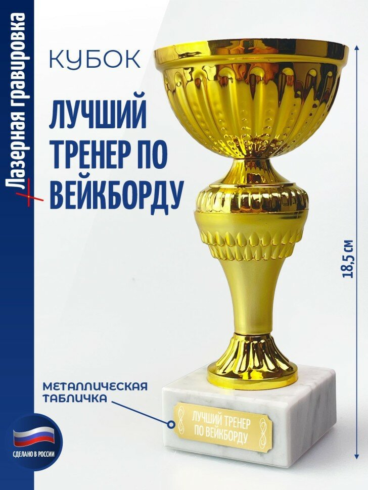 Кубок "Лучший тренер по вейкборду" (18,4 см)