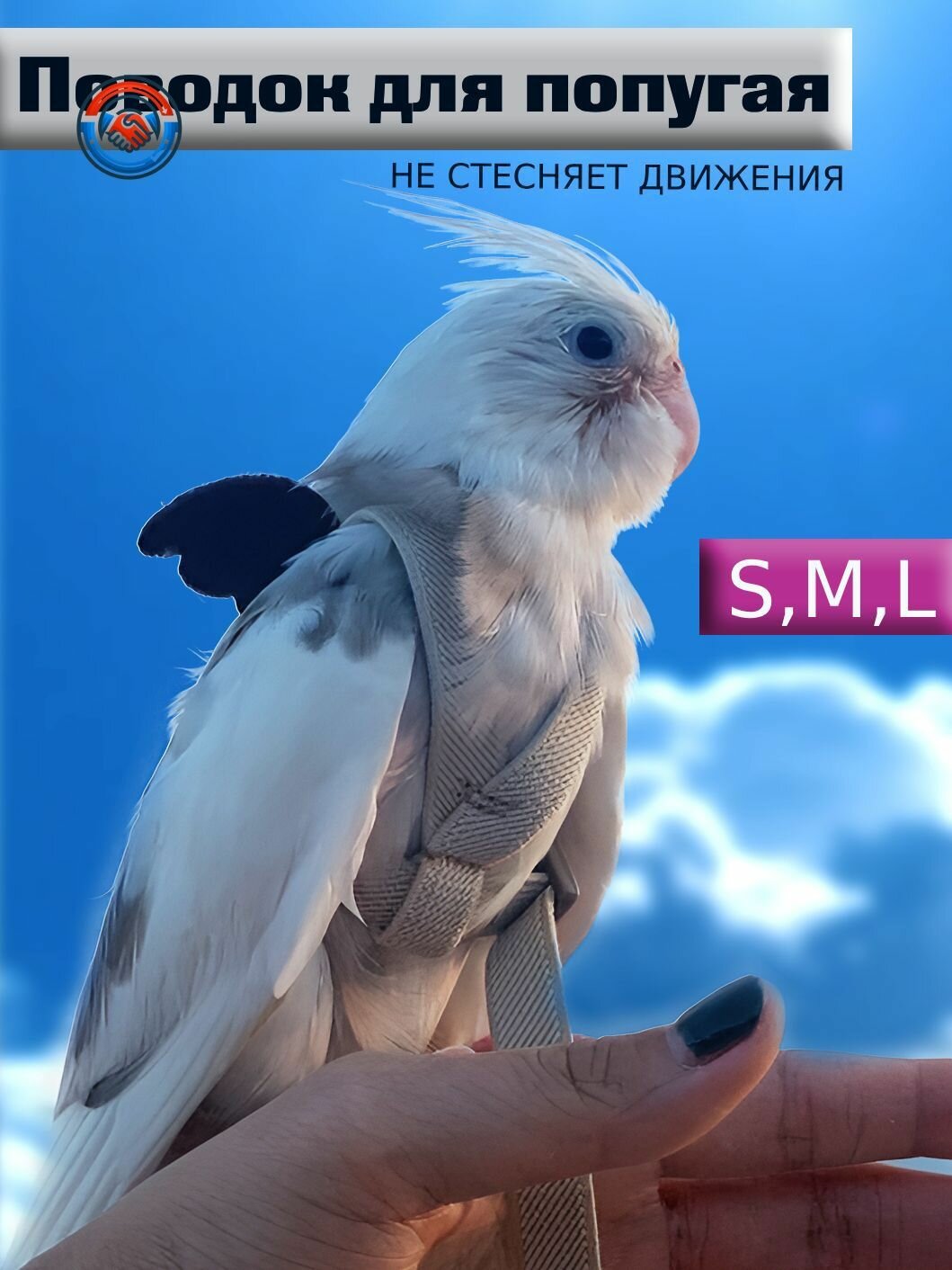 Шлейка поводок для прогулок с попугаем Bloxa, регулируемая гипоаллергенная шлейка для птиц малых и средних пород, защита от улёта, комфортная прогулка на свежем воздухе