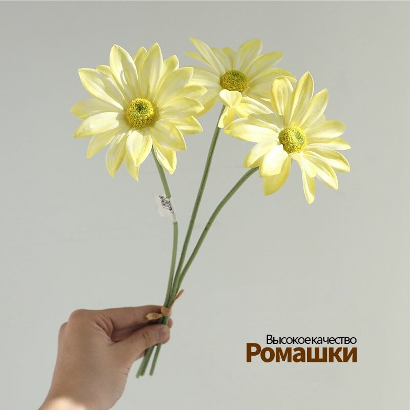 Стабилизированные цветы, Ромашки, 5 пучков, 38cm