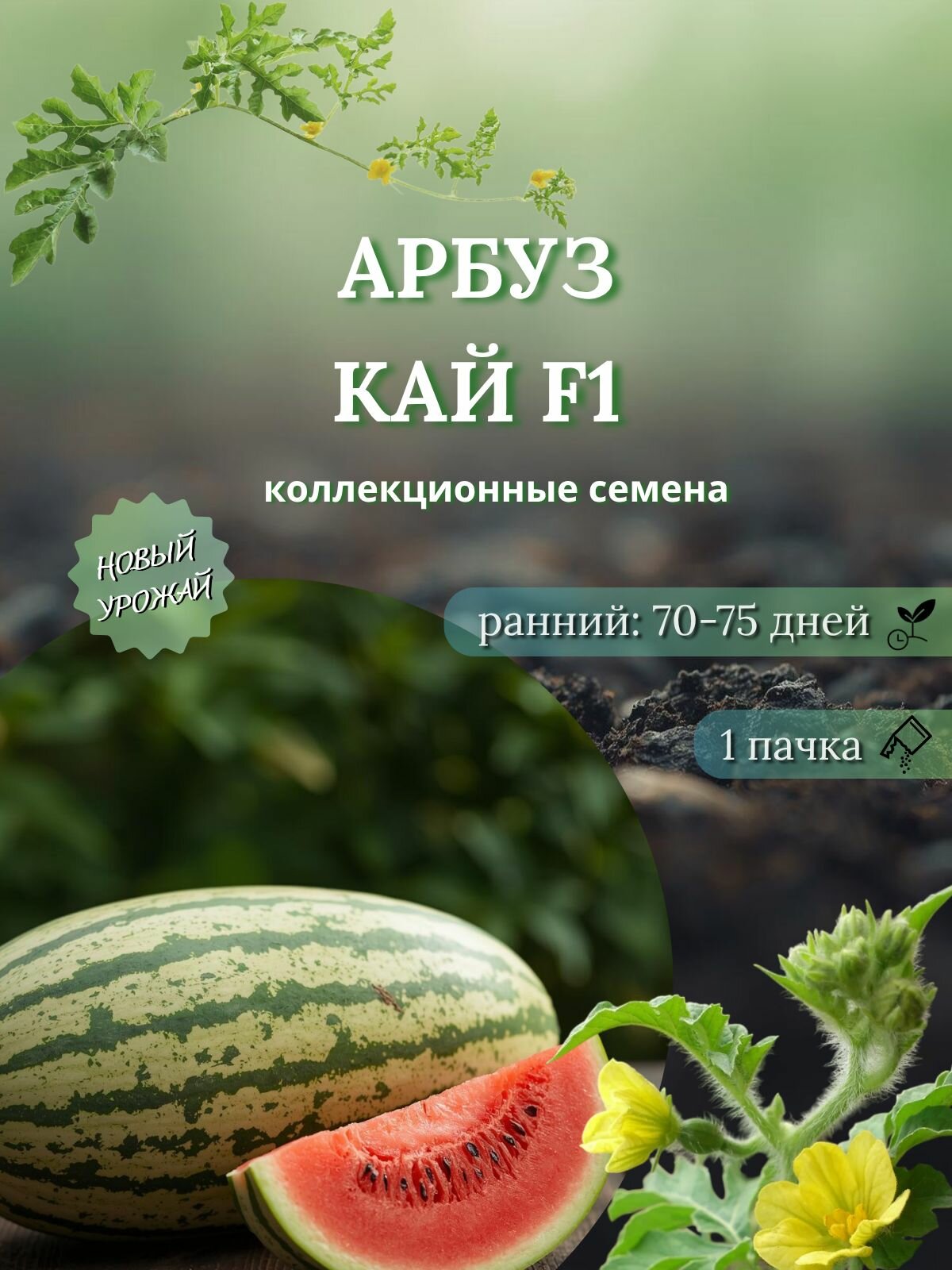 Арбуз Кай F1, коллекционные семена, 10 шт.