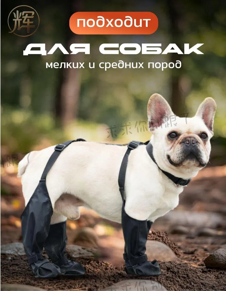 Обувь для собак — фото 1