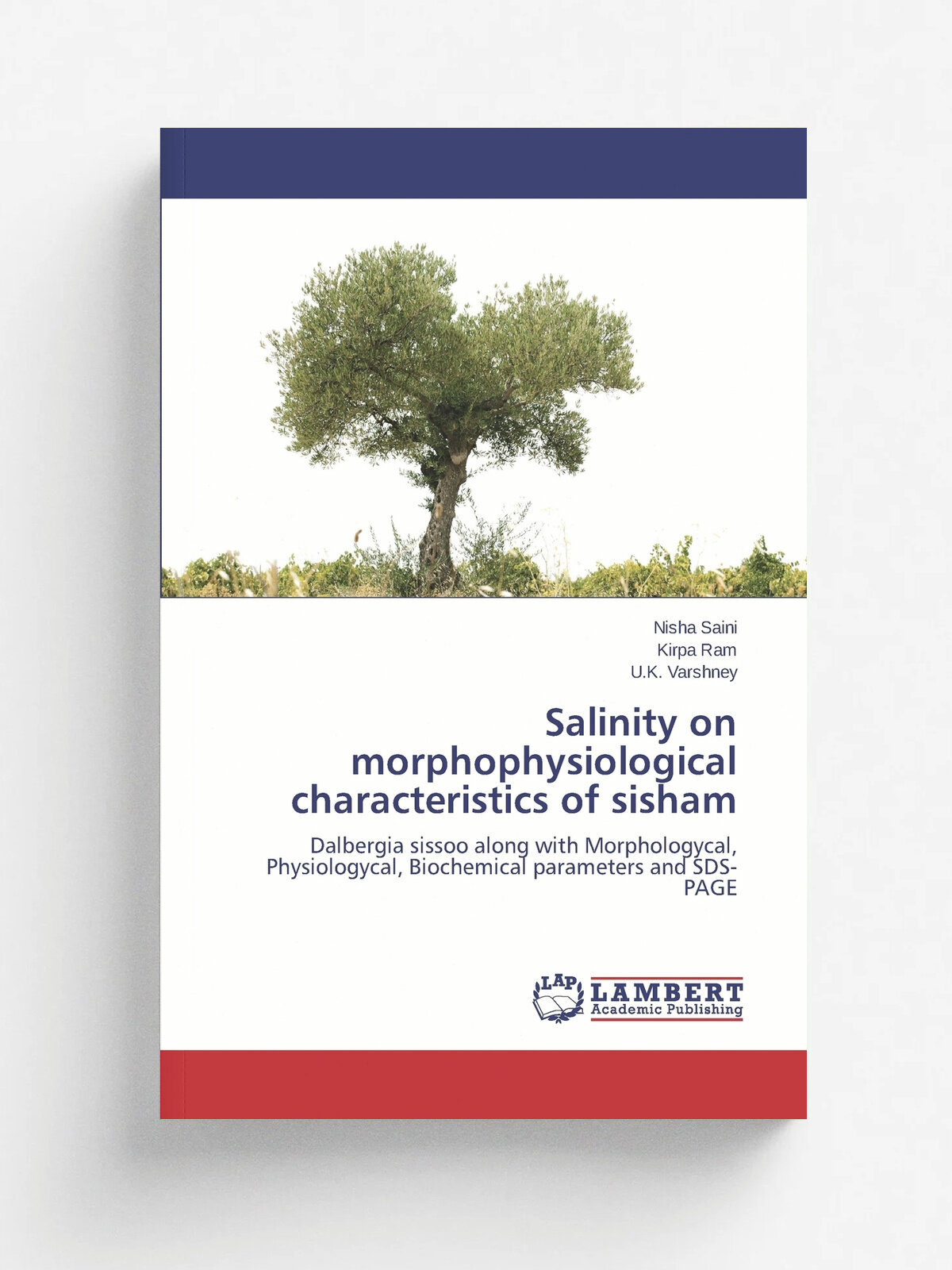 Salinity on morphophysiological characteristics of sisham