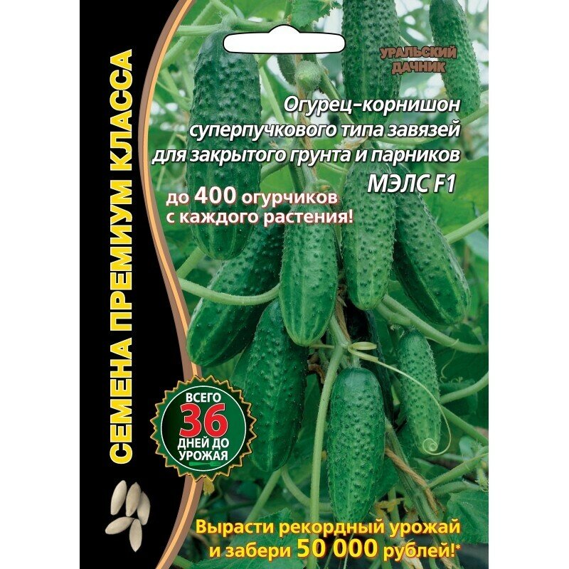 Огурец мэлс 5шт. (Уральский дачник)