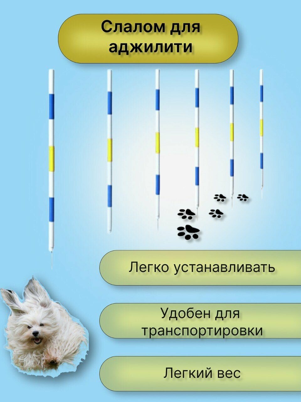 Слалом для аджилити (слалом для собак)