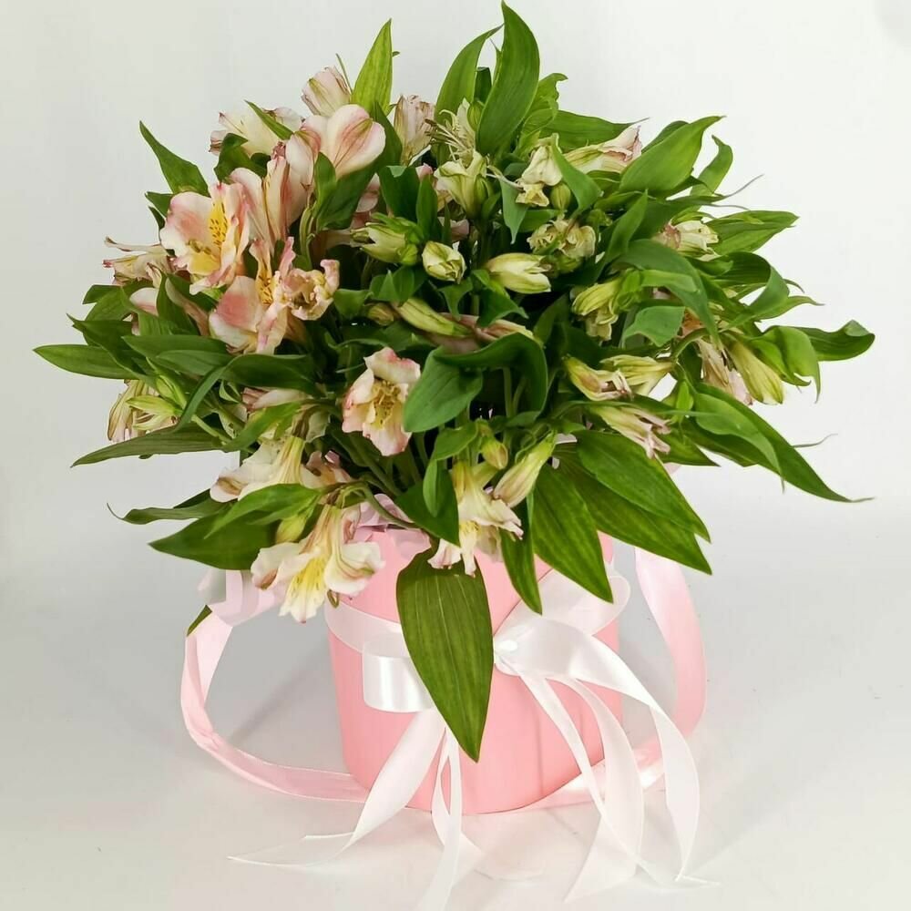 Цветы альстромерии в шляпной коробке, 21 шт.