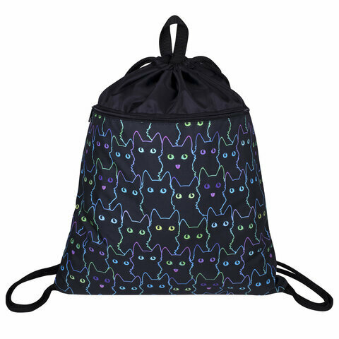 Мешок для обуви BRAUBERG большой, с ручкой, карман на молнии, сетка, 51х41 см, "Cats", 271059