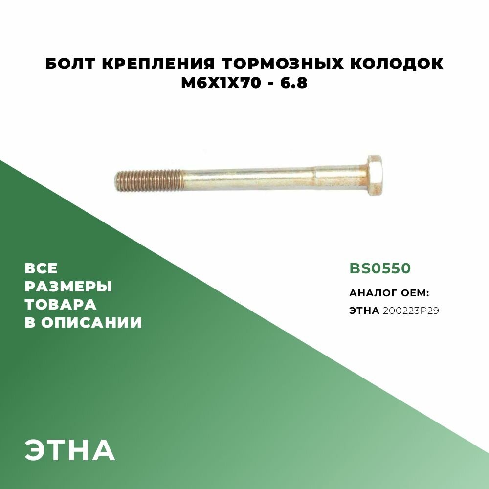 Болт тормозных колодок M6х70х1-6.8; ОЕМ:200223P29; BS0550 - 10 шт.