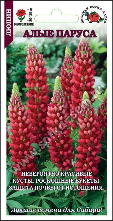 Семена люпина "Алые паруса" 10 упаковок по 0,3 гр - эффектное красивоцветущее растение, которое станет ярким акцентом в вашем саду.