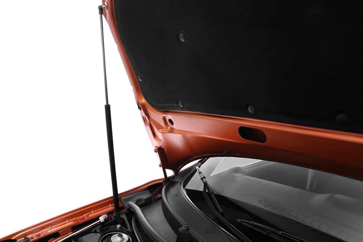 Амортизаторы (упоры) капота для Лада Гранта ФЛ оригинал