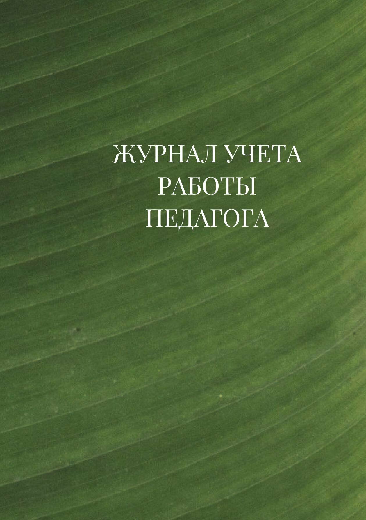 Журнал учета работы педагога дополнительного образования