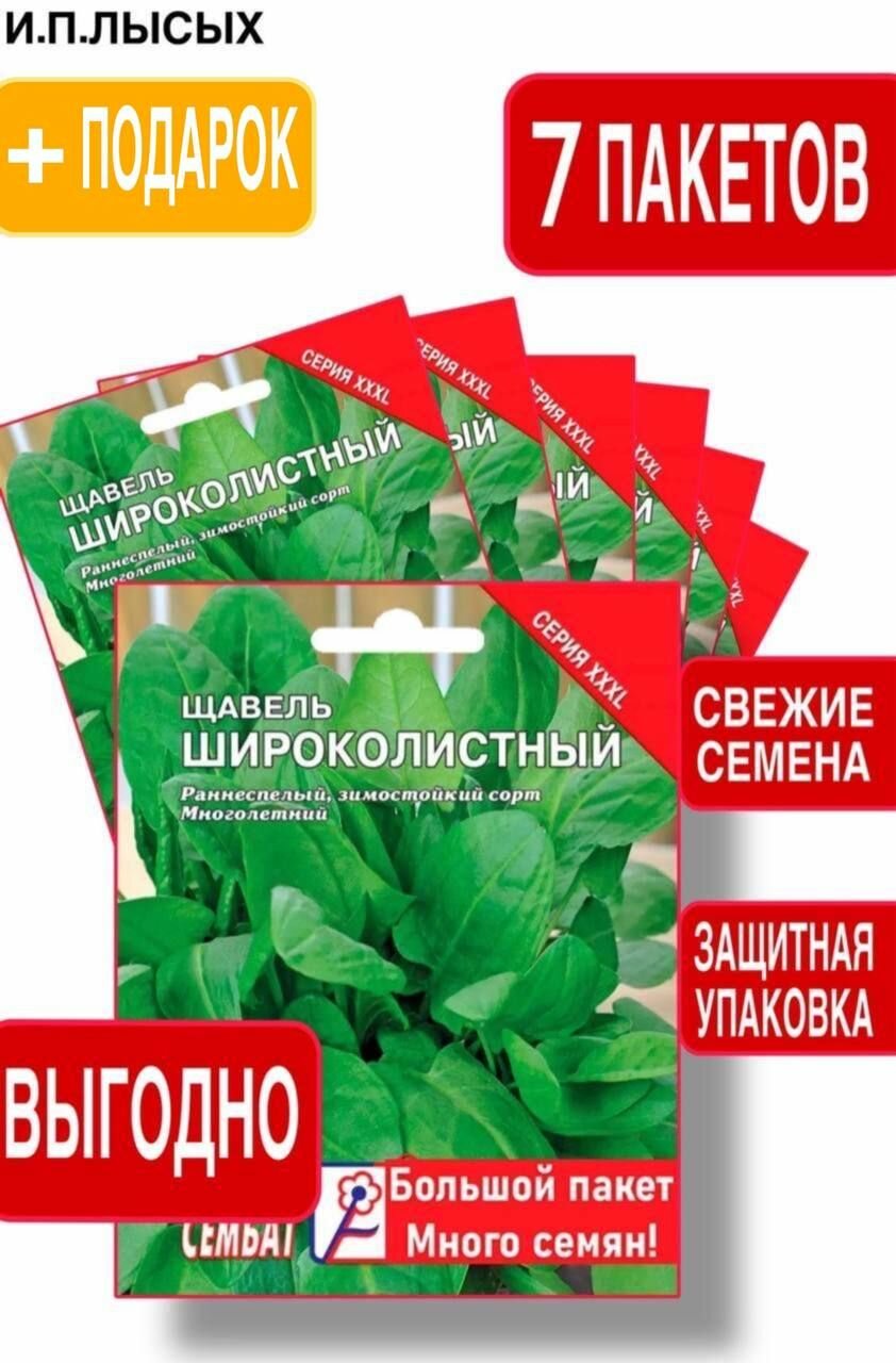 Семена Щавель Широколистный 7шт