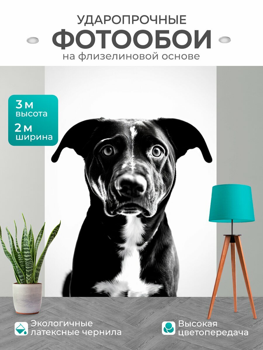 Фотообои моющиеся ударопрочные "Животные в стиле логотип, черные пятнистые собаки, монохромное оформление и стиль" 200x300 см. флизелиновые на стену