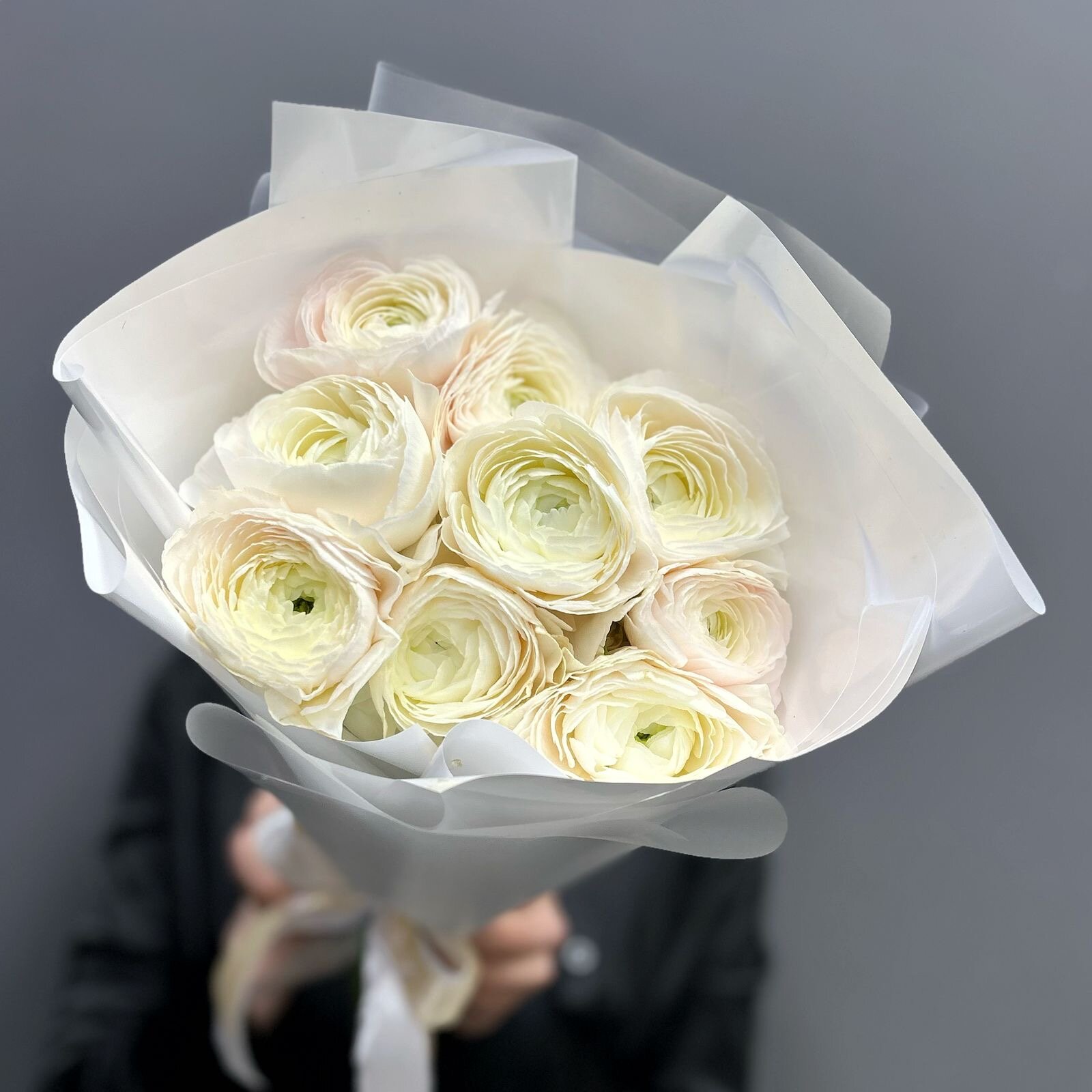 Монобукет из 9 кремовых ранункулюсов Ханой в двухслойной упаковке