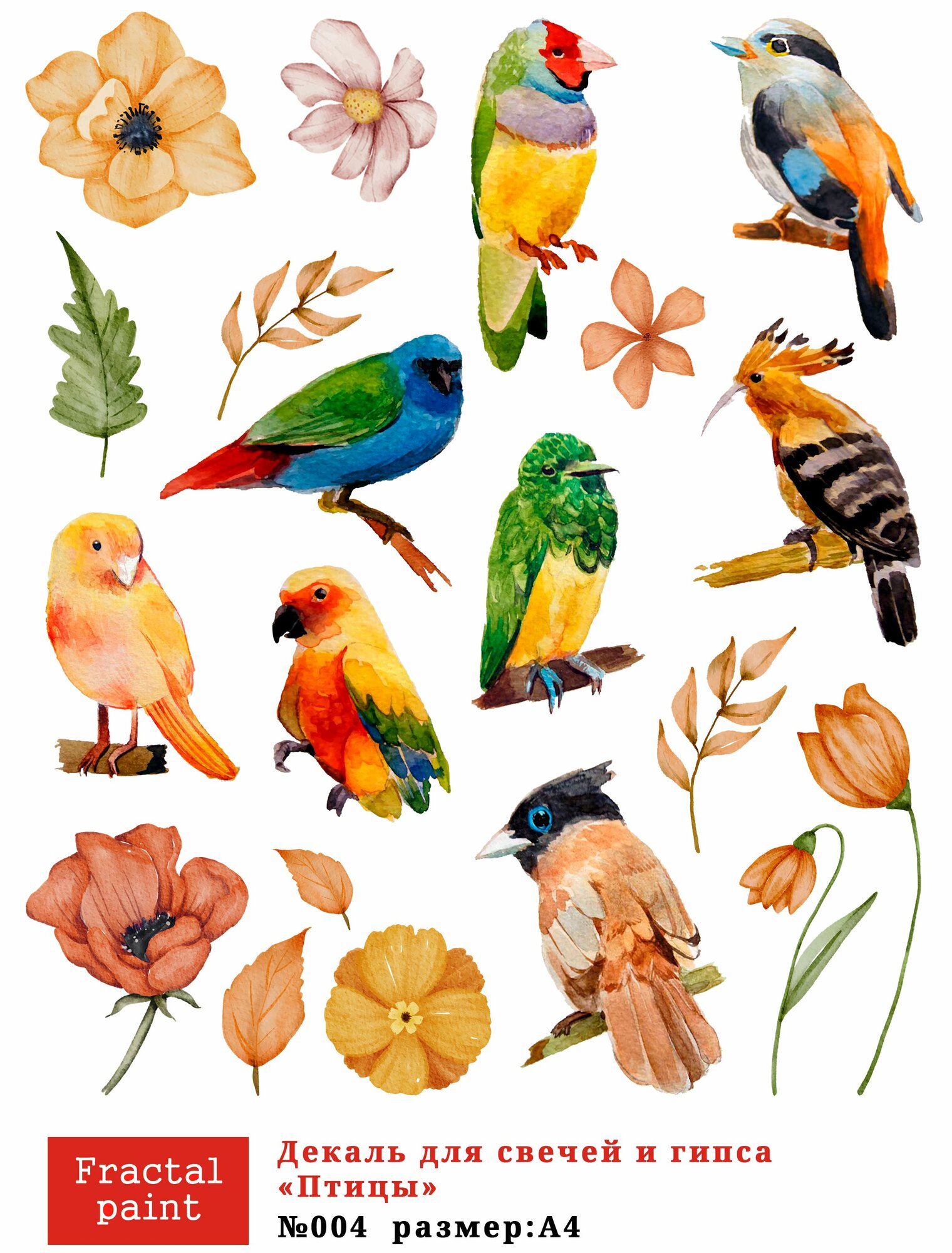 Трансфер для декупажа, декали для свечей и гипса птицы 004 (А4)