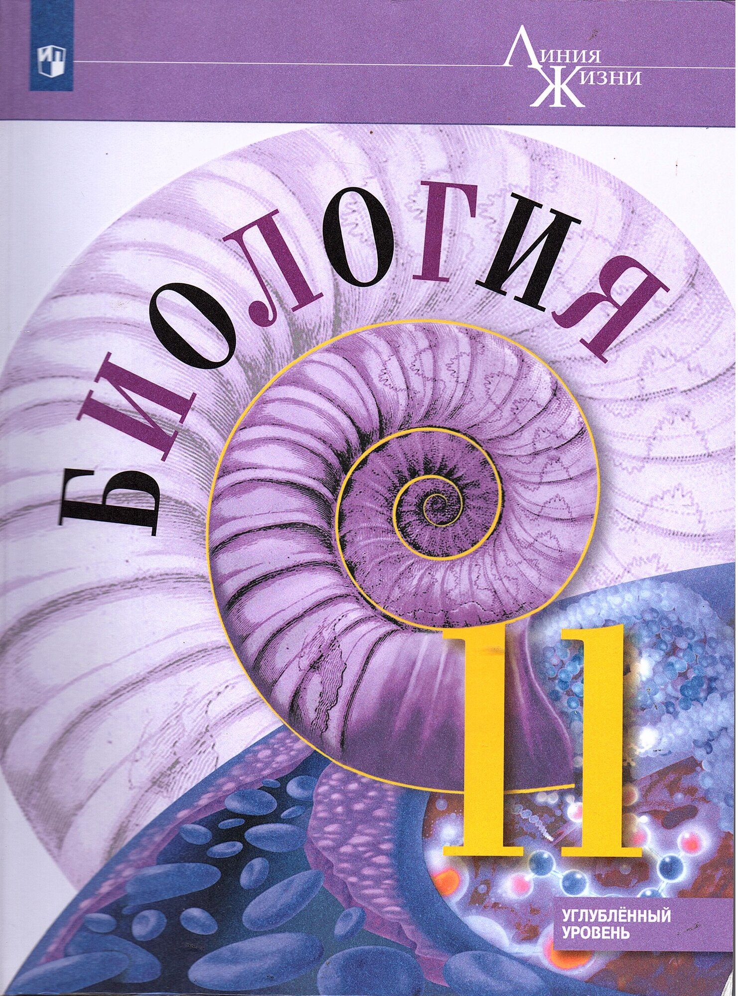 Каменский А. А, Пасечник В. В, Рубцов А. М. Биология 11 класс. Учебник. Углублённый уровень