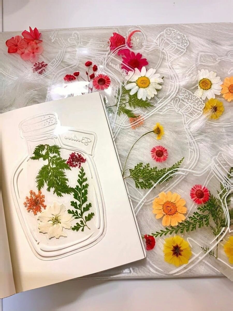 Альбом для гербария