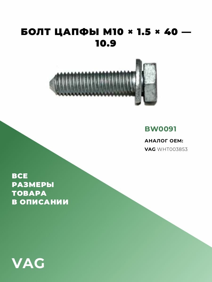 Болт цапфы М10х1.5х40-10.9; Для автомобилей VAG; ОЕМ: WHT003853; BW0091
