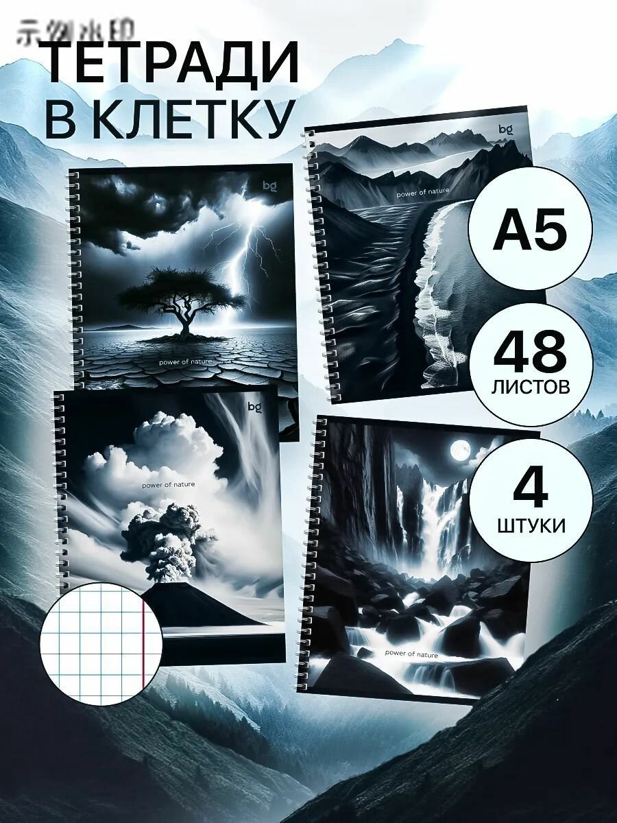 Набор тетрадей, 4 шт, листов: 48