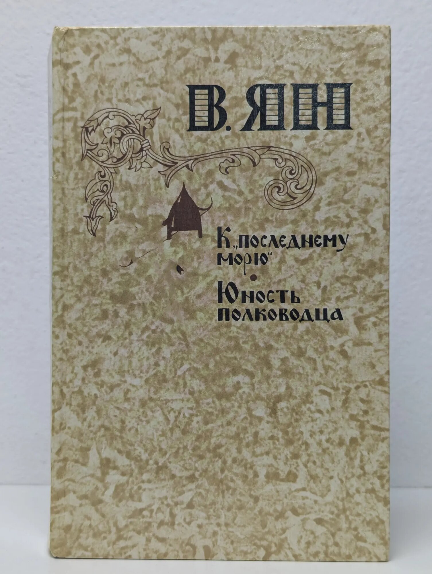 К "последнему морю". Юность полководца. Ян Василий Григорьевич 1981