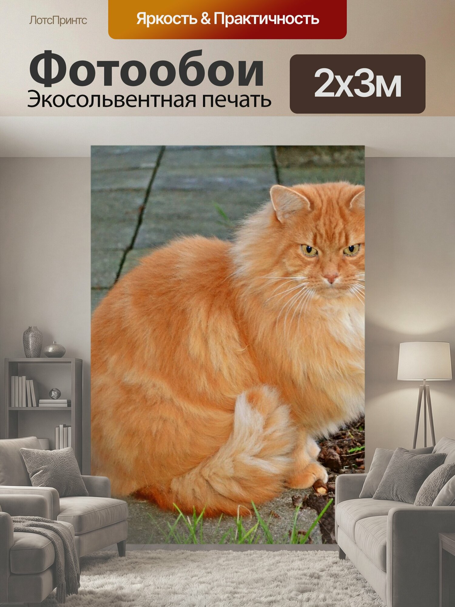 Фотообои "Кошки, ros, рыжая" 200x300 см. экосольвентная печать