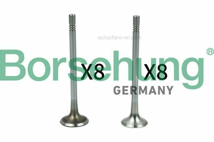 BORSEHUNG B18628 Комплект клапанов 8+8