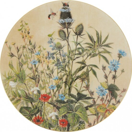 Тарелка декоративная Thun "Чертополох" настенная, с крючком, 27 см
