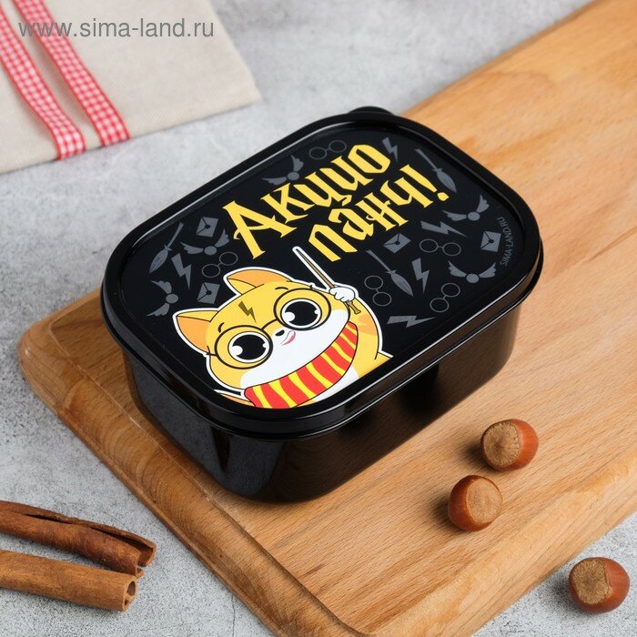 Ланч-бокс «Акцио ланч», 0.5 л, 4913052