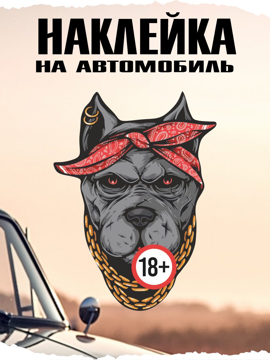 Наклейка на авто Питбуль в бандане