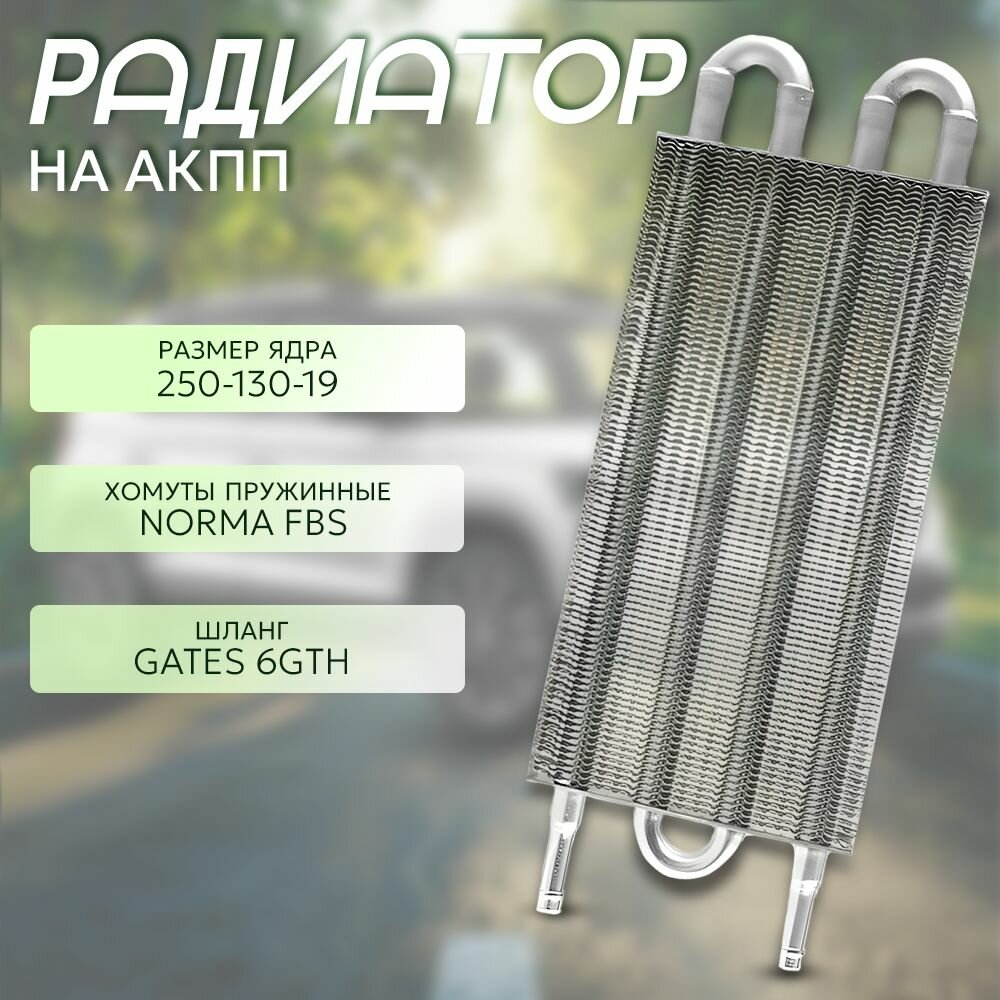 Радиатор АКПП 250-130-19 4 ряда серый (шланг Gates + хомуты Norma)