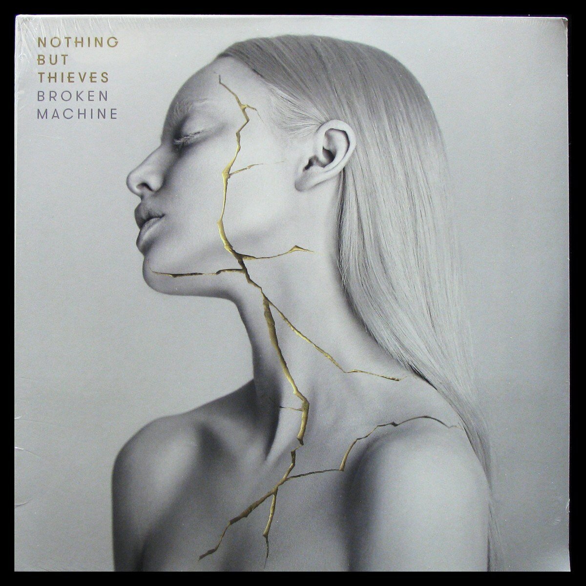 Виниловая пластинка RCA Nothing But Thieves – Broken Machine