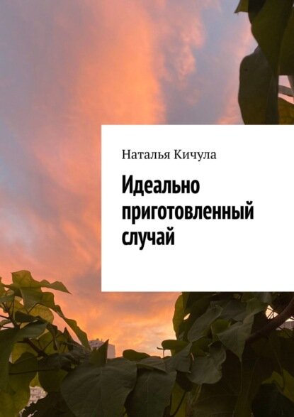 Идеально приготовленный случай [Цифровая книга]