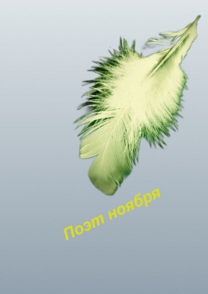 Поэт ноября [Цифровая книга]