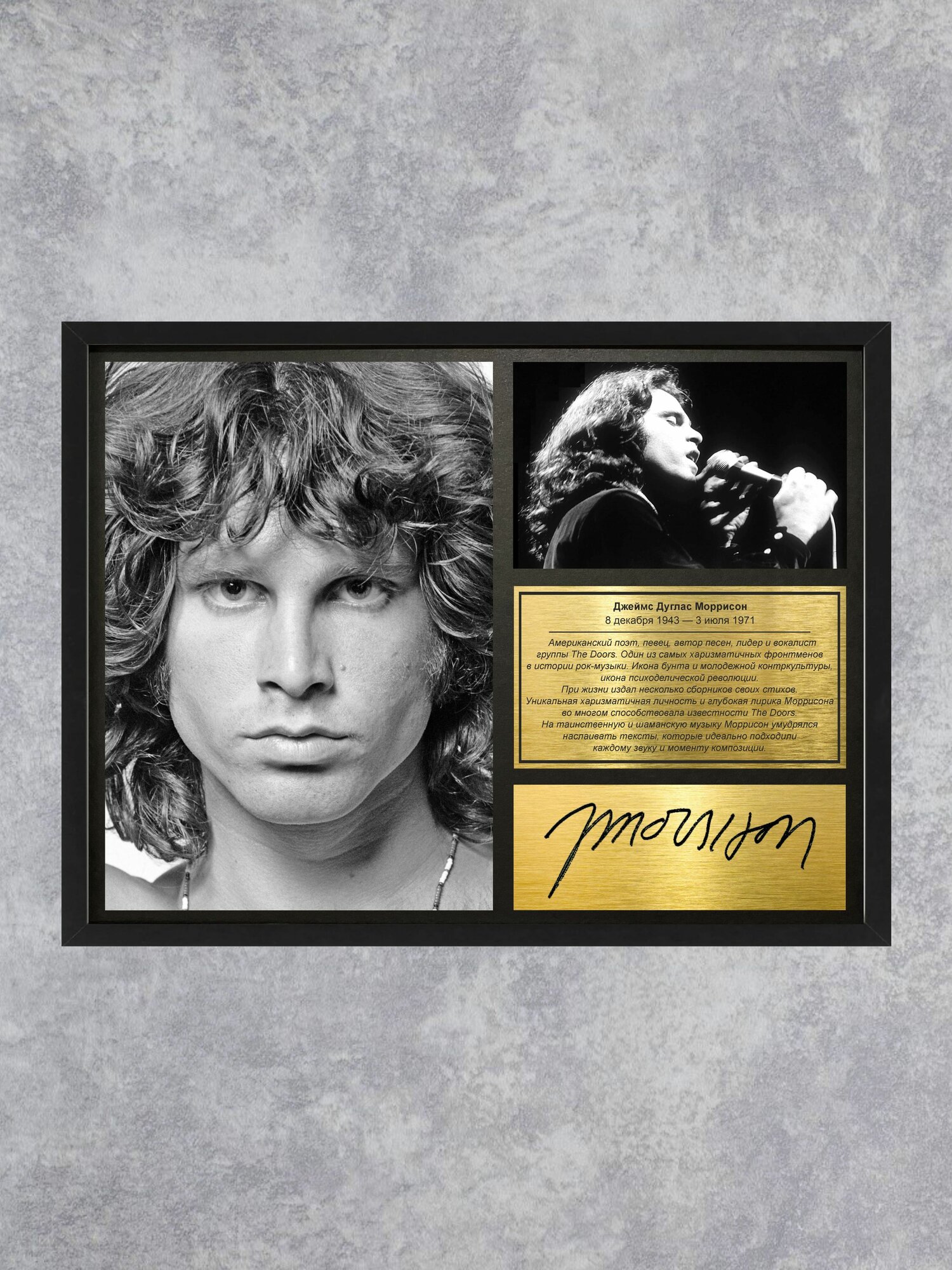 Jim Morrison The Doors картина панно с автографом 33х43см