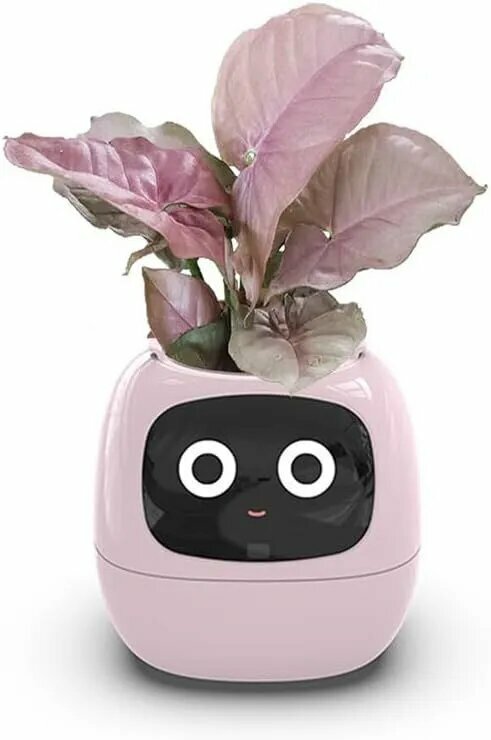 Smart Plant Кашпо с автополивом, 9.7 см х 11.4 см х 10 см, 0.2 л, 1 шт