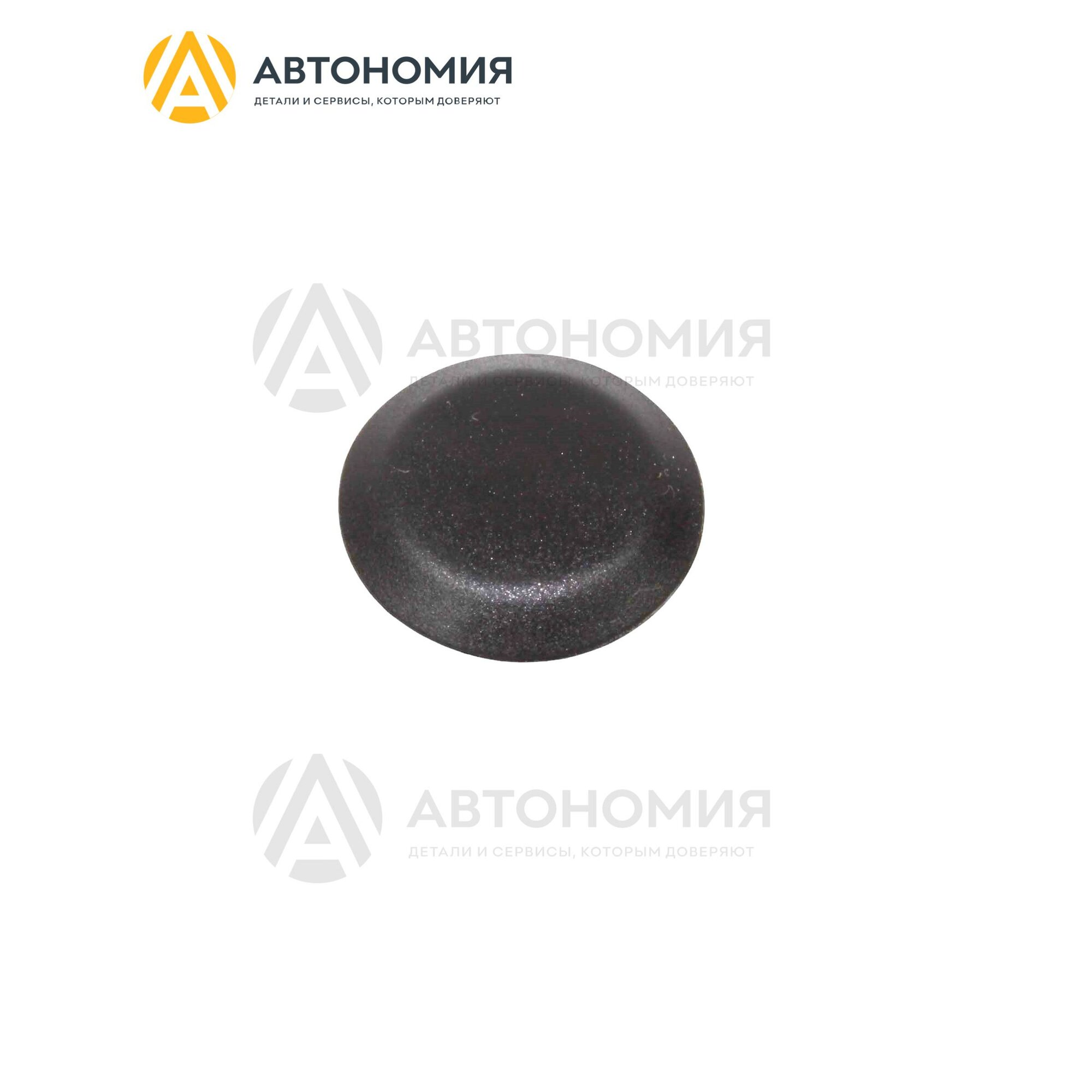 Заглушка кузова Renault 77 03 074 669