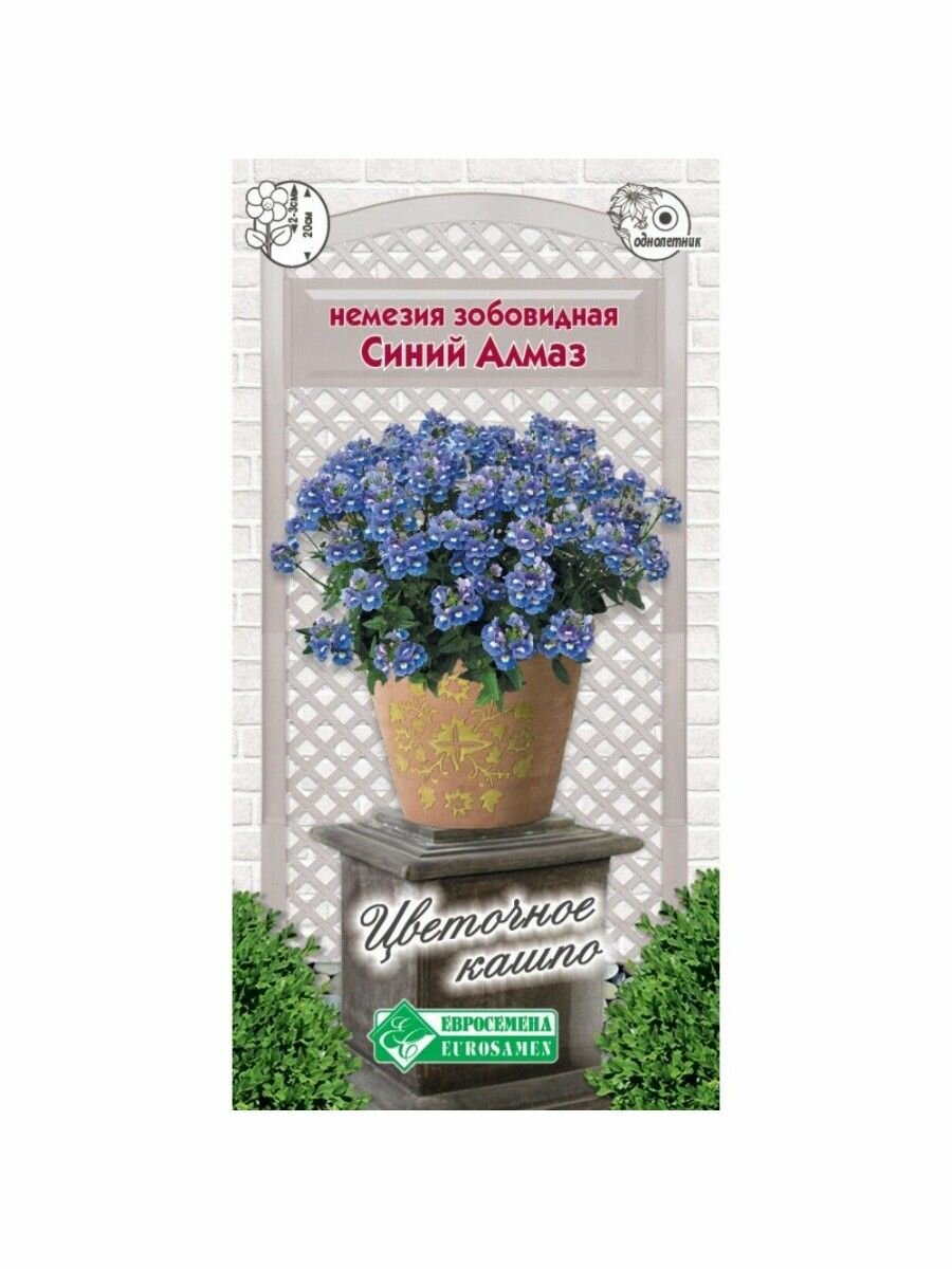 Семена Евросемена "Немезия зобовидная Синий алмаз", однолетние, 1 упаковка