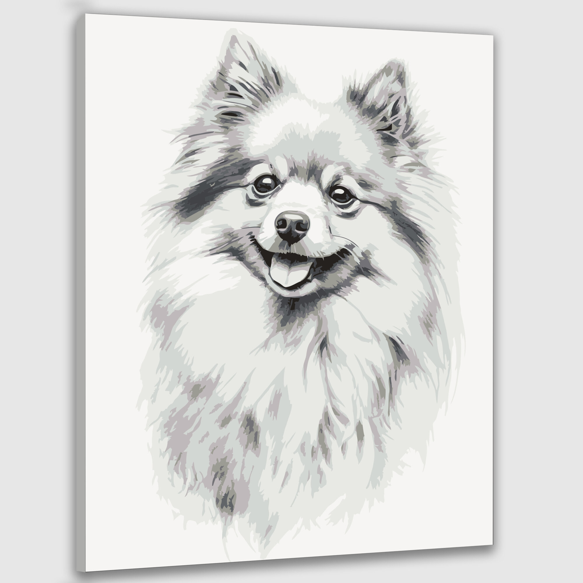 Картина по номерам 40x50 см, графитовый набросок, собака, порода, шпиц, черты, нежная натура, очаровательный