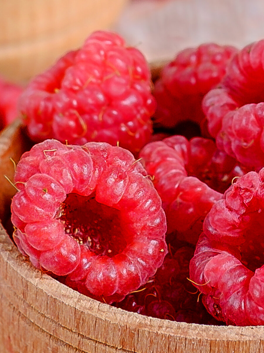 Малина крупноплодная Туламин 1 шт / высокоурожайный, морозостойкий сорт