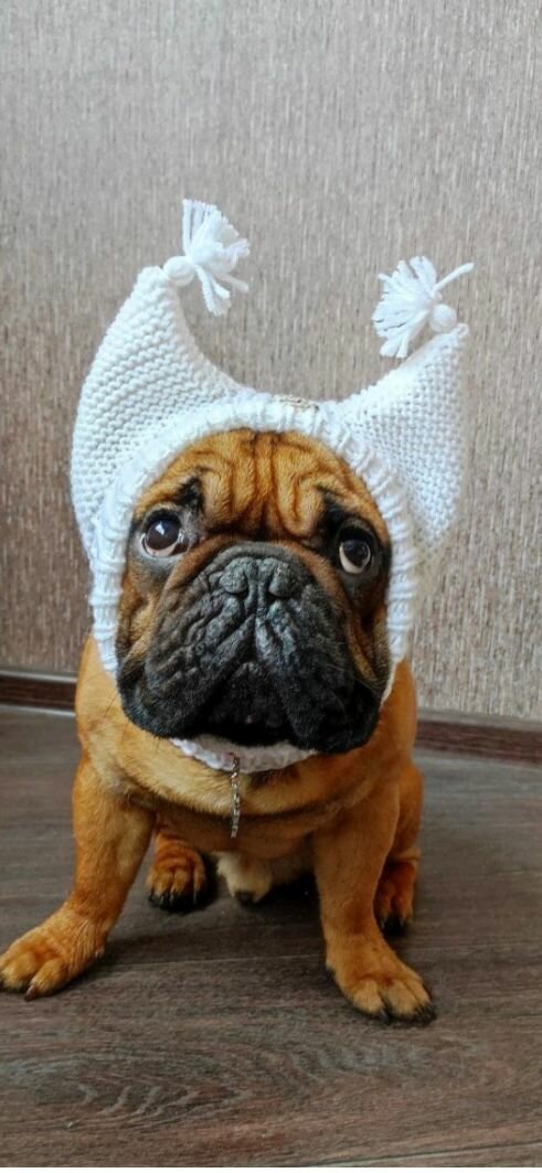 Шапка Белла