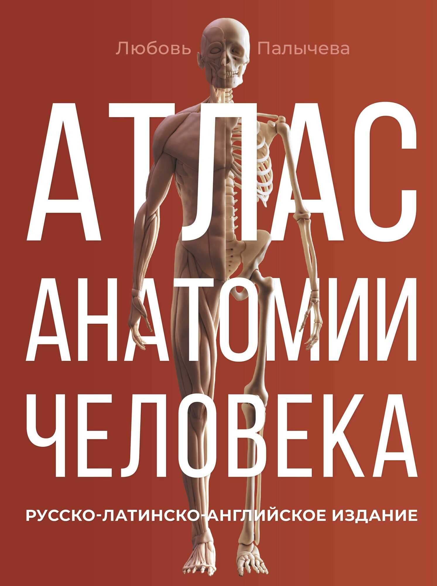 Книга: "Атлас анатомии человека. Русско-латинско-английское издание" от Палычева Л, русский язык, Атласы анатомии. Медико-биологические дисциплины