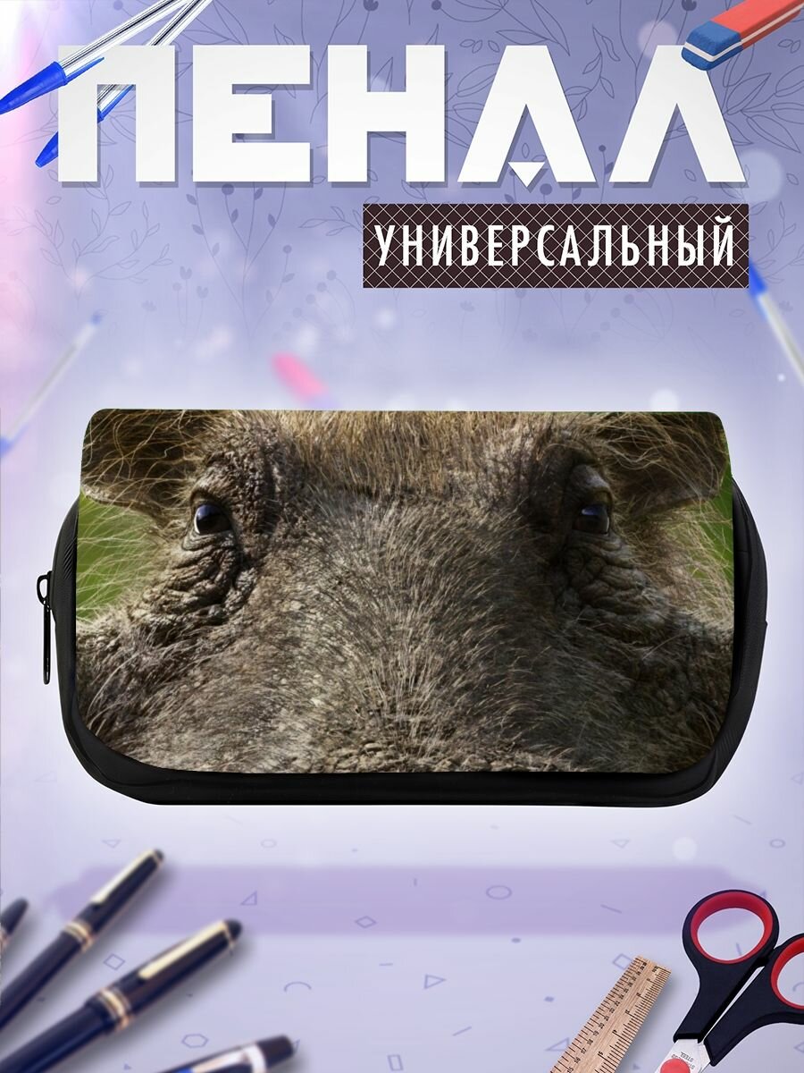 Школьный пенал Пумба Симба