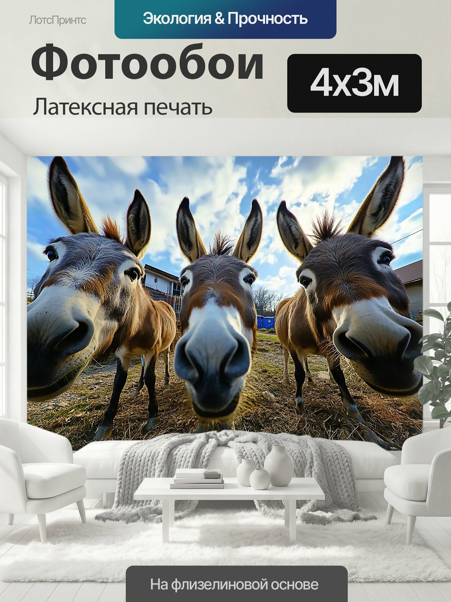 Фотообои моющиеся ударопрочные "Три осла смотрят в камеру Постер с юмором Современный арт" 400x300 см. латексная печать