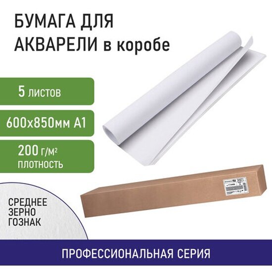 Бумага для акварели Brauberg А1 (600х850 мм), комплект 5 листов, среднее зерно, 200 г/м2, гознак, ART, 114488