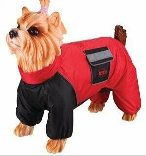 Болоньевый комбинезон Dezzie для французского бульдога красный, кобель, дождевик