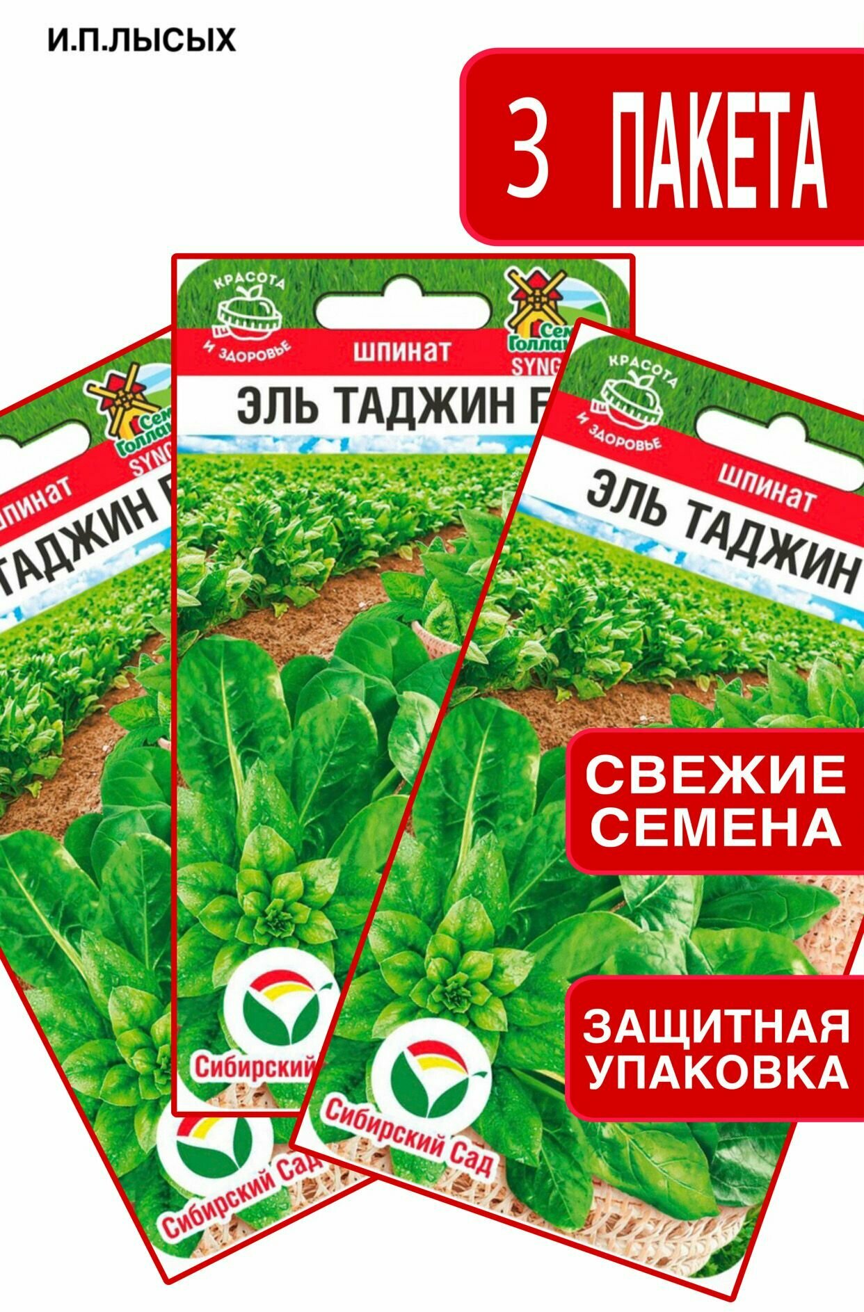 Семена Шпинат "Эль Таджин F1"