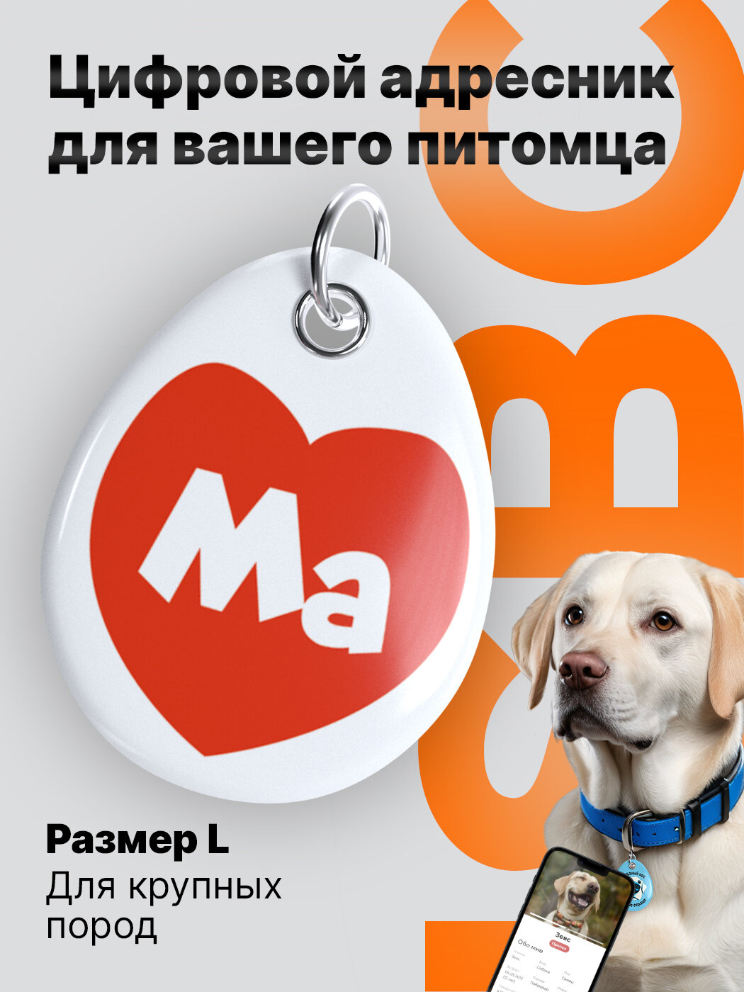 Адресник для собак средних и крупных пород от ISBC с NFC и QR-кодом, Ма