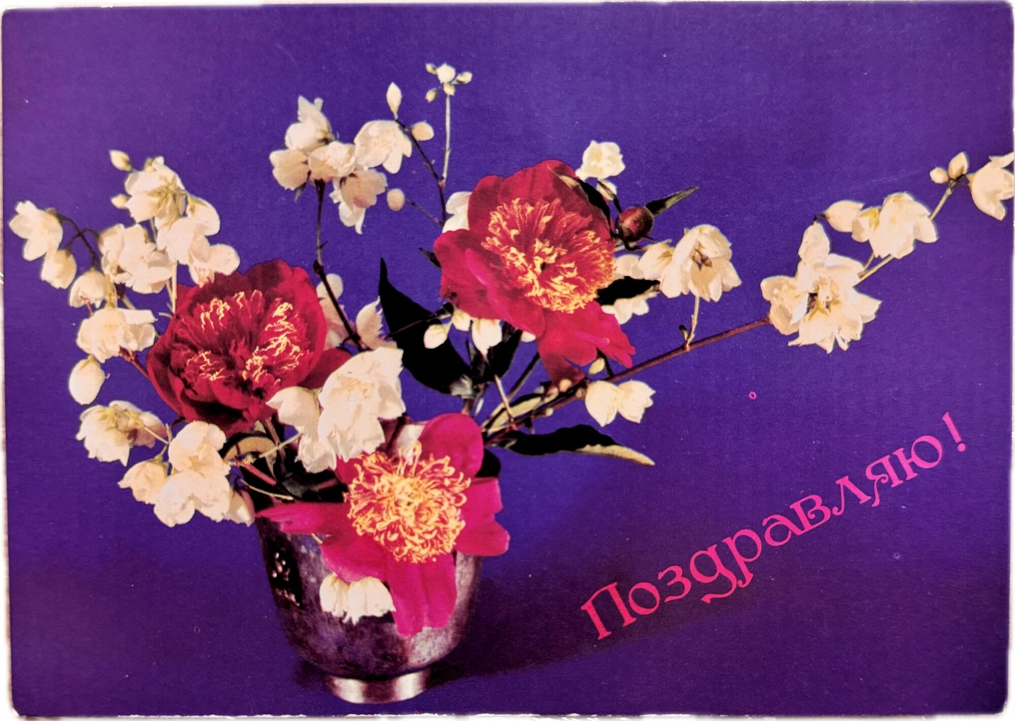 Поздравляю! (Фотокомпозиция В. Корабельникова, В. Панкратова)