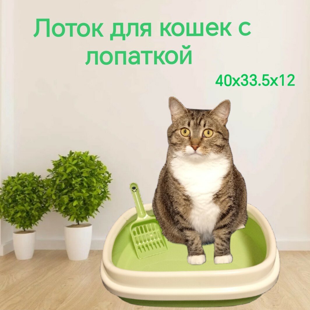Лоток для кошек с лопаткой 40х33,5х12 с высоким, съемным бортиком.