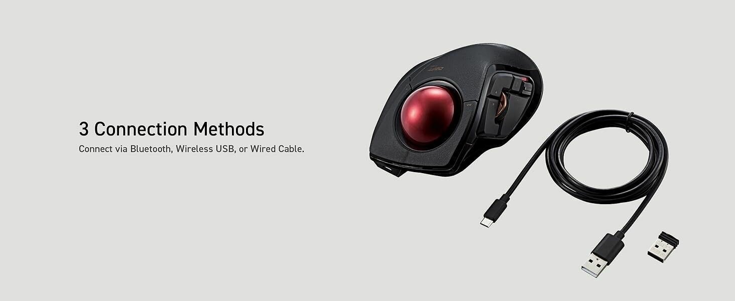 Мышь — фото 1