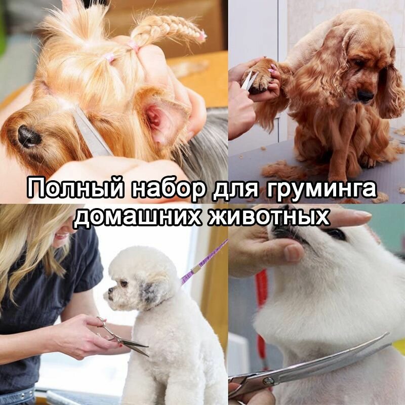 Набор ножниц для груминга собак и кошек / нержавеющая сталь / набор из 5 частей